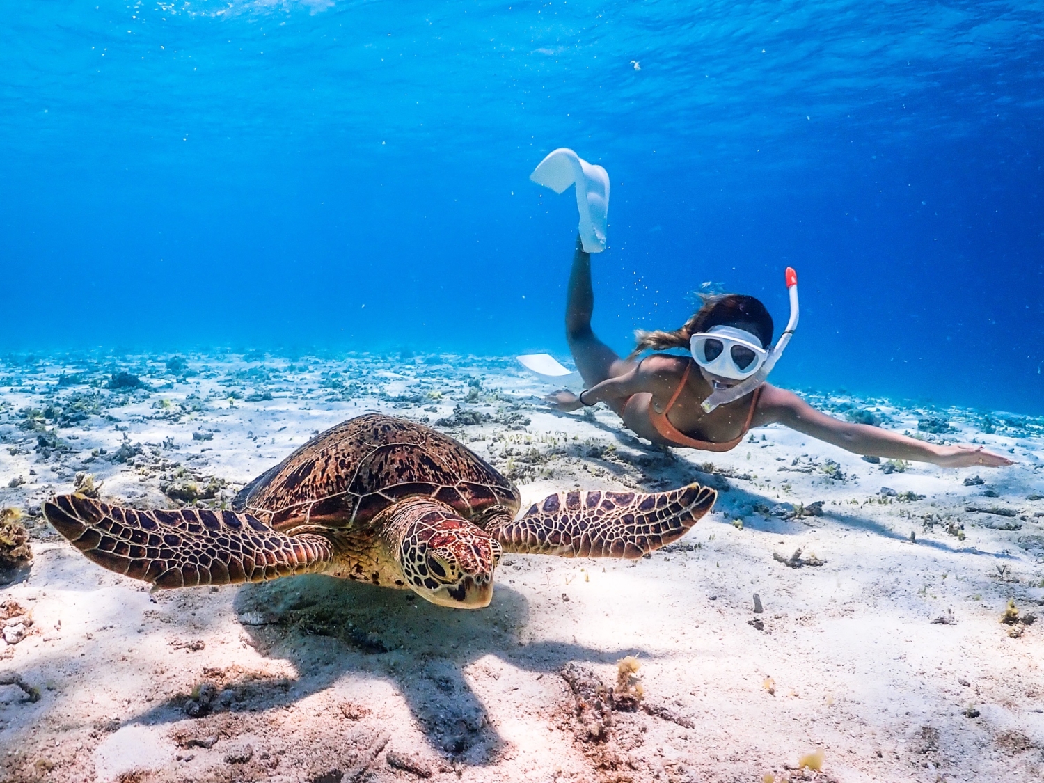 初めての宮古島旅行に！レンタカーで効率よく観光する3泊4日モデルプラン - みやこ下地島空港からすぐ近くの格安レンタカー｜シモジーレンタカー